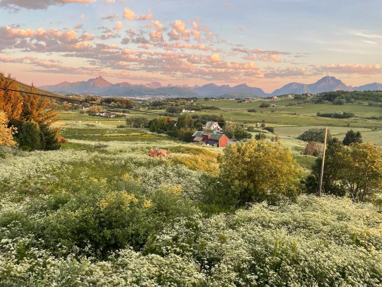 Boliger til leie i Nordland | En tryggere og raskere vei inn på ...